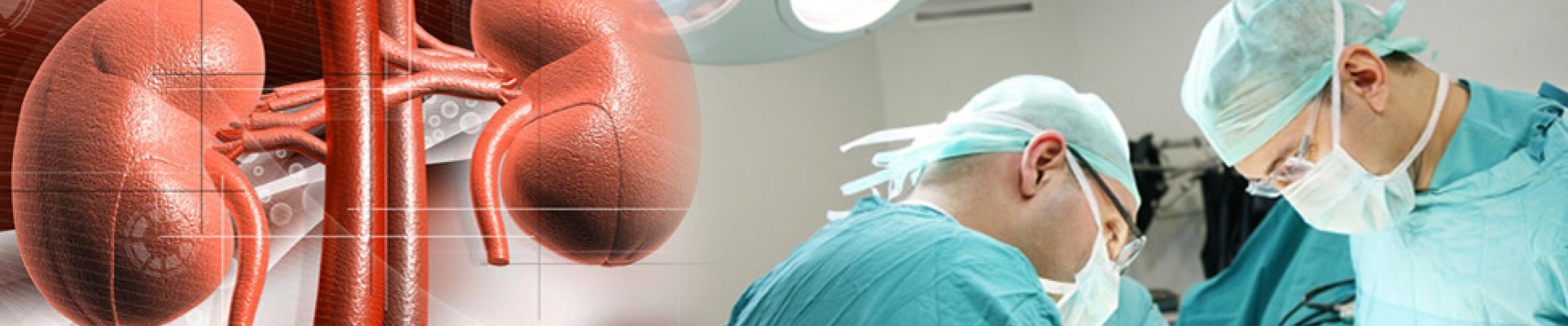 Service d' UROLOGIE | POLYCLINIQUE ELEFTHO Service d' UROLOGIE | POLYCLINIQUE ELEFTHO